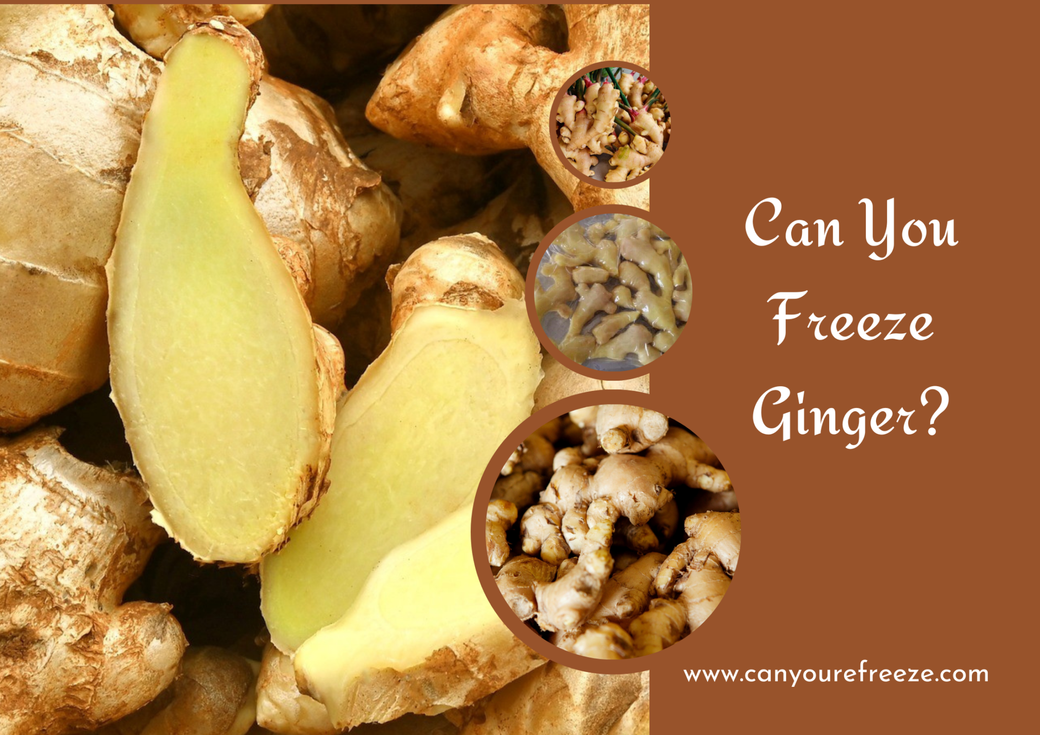 Can You Freeze Ginger? Ways To Freeze Ginger! - Can You Refreeze