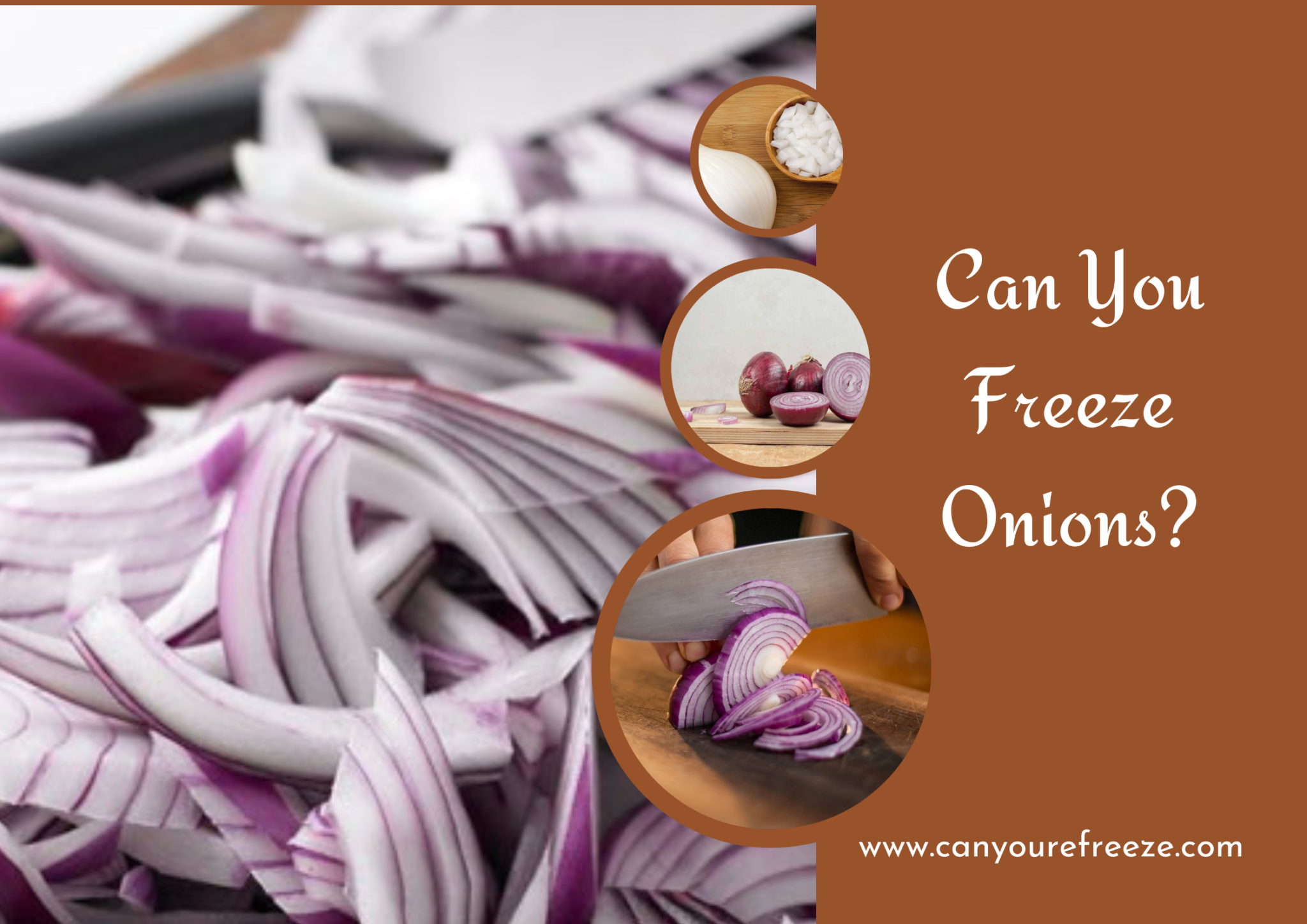 Can You Freeze Onions? Why Freeze Onions? - Can You Refreeze
