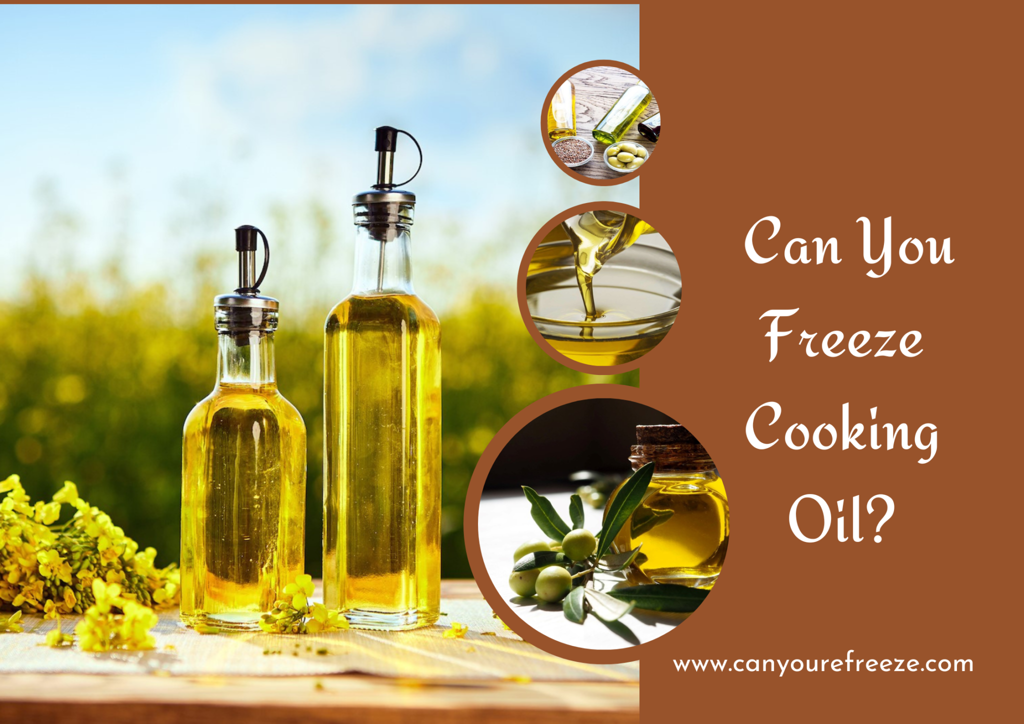 Can You Freeze Cooking Oil? The Best Freezing Techniques For Oils ...