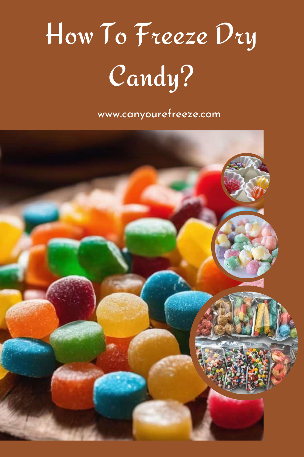 How To Freeze Dry Candy? 2 Ways To Freeze Dry Candy! - Can You Refreeze