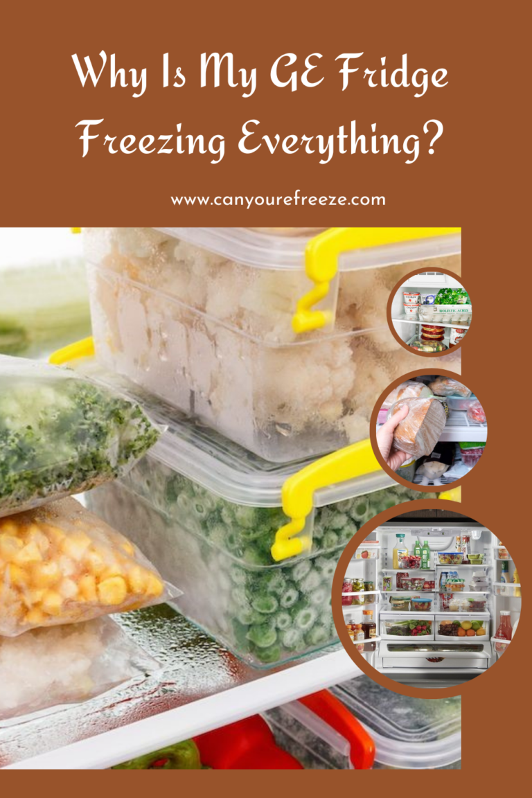 Why Is My GE Fridge Freezing Everything? What To Do? - Can You Refreeze
